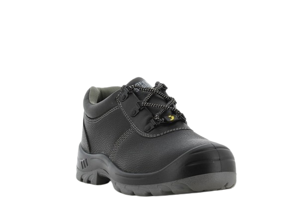 Shop - Zocom Limited